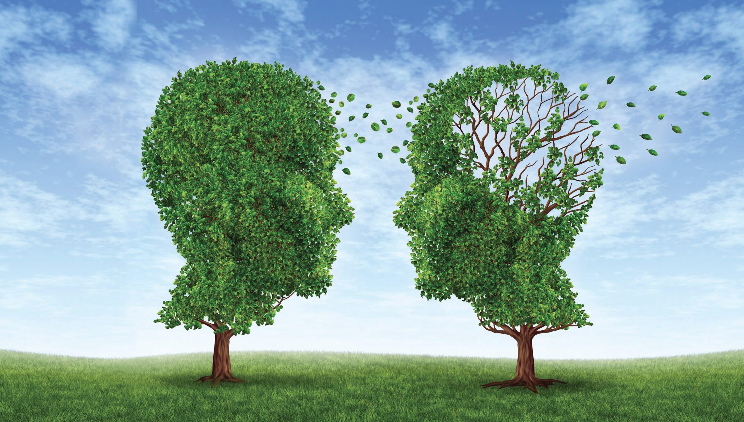 Think time: The simple practice that breeds innovation - Graphite HRM